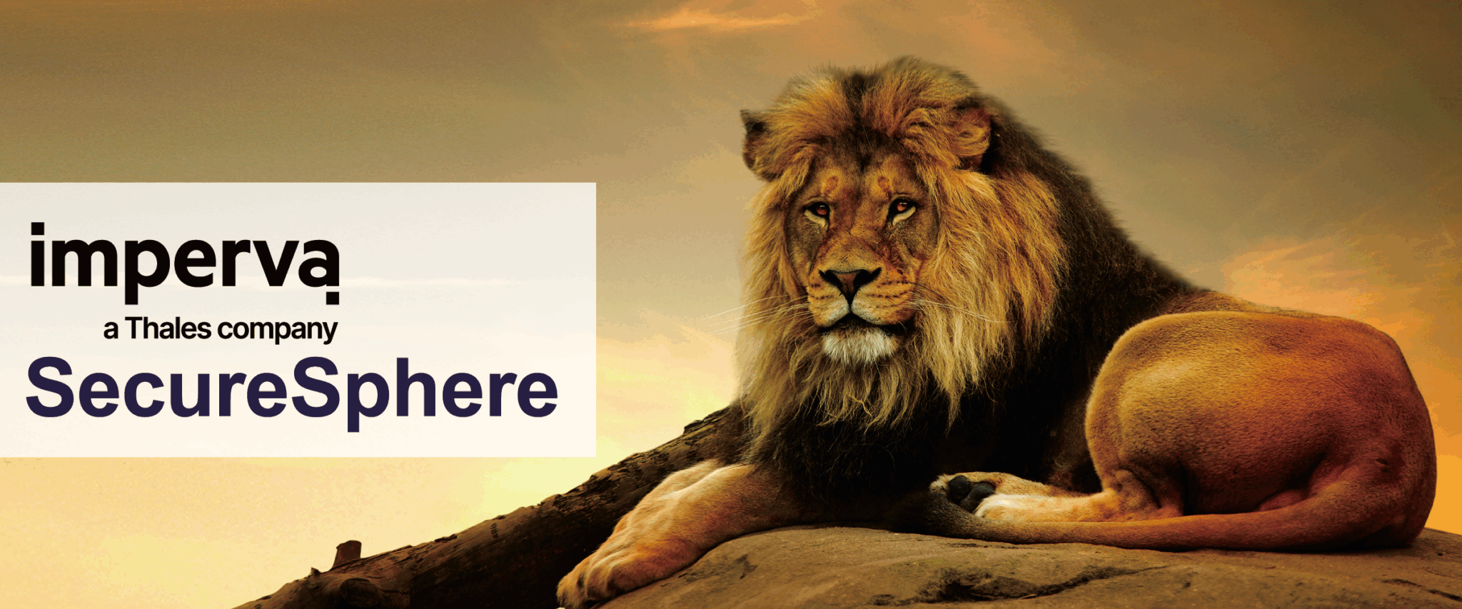 Imperva SecureSphere – 株式会社フーバーブレイン